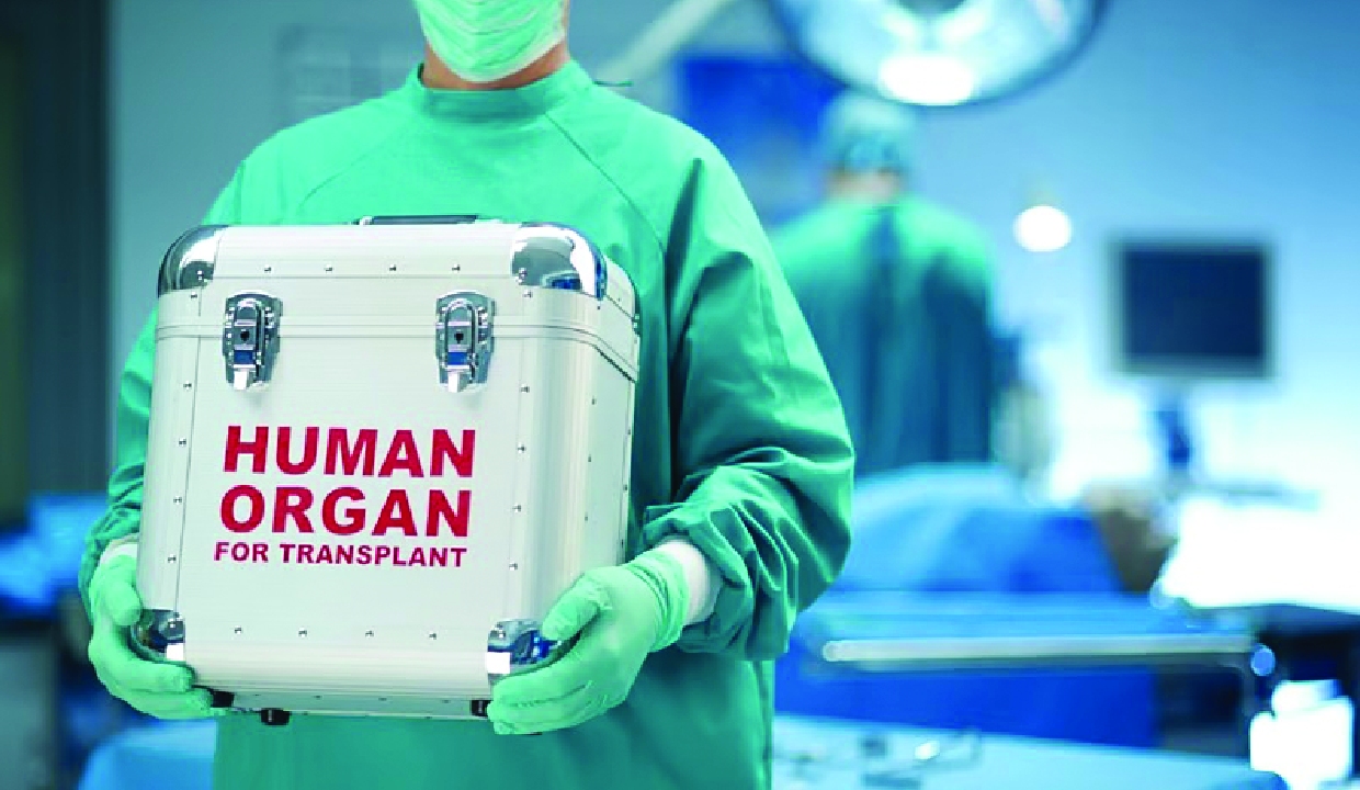 Delhi HC gives nod to four-way kidney swap transplant