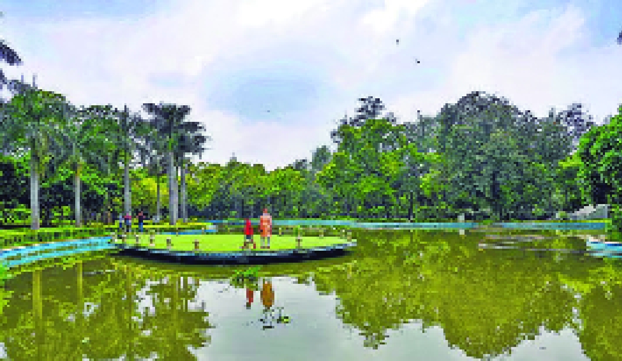 NDMC to clean Nehru Park lake using bio-remediation treatment