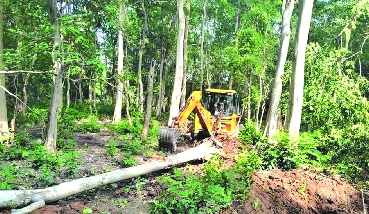 Supreme Court Seeks Report from Uttarakhand on Illegal Constructions on ...